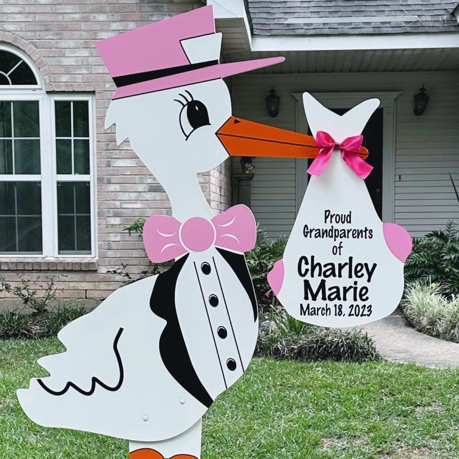 Scranton Storks and More: Stork Sign Rental in Scranton, Wilkes-Barre ...