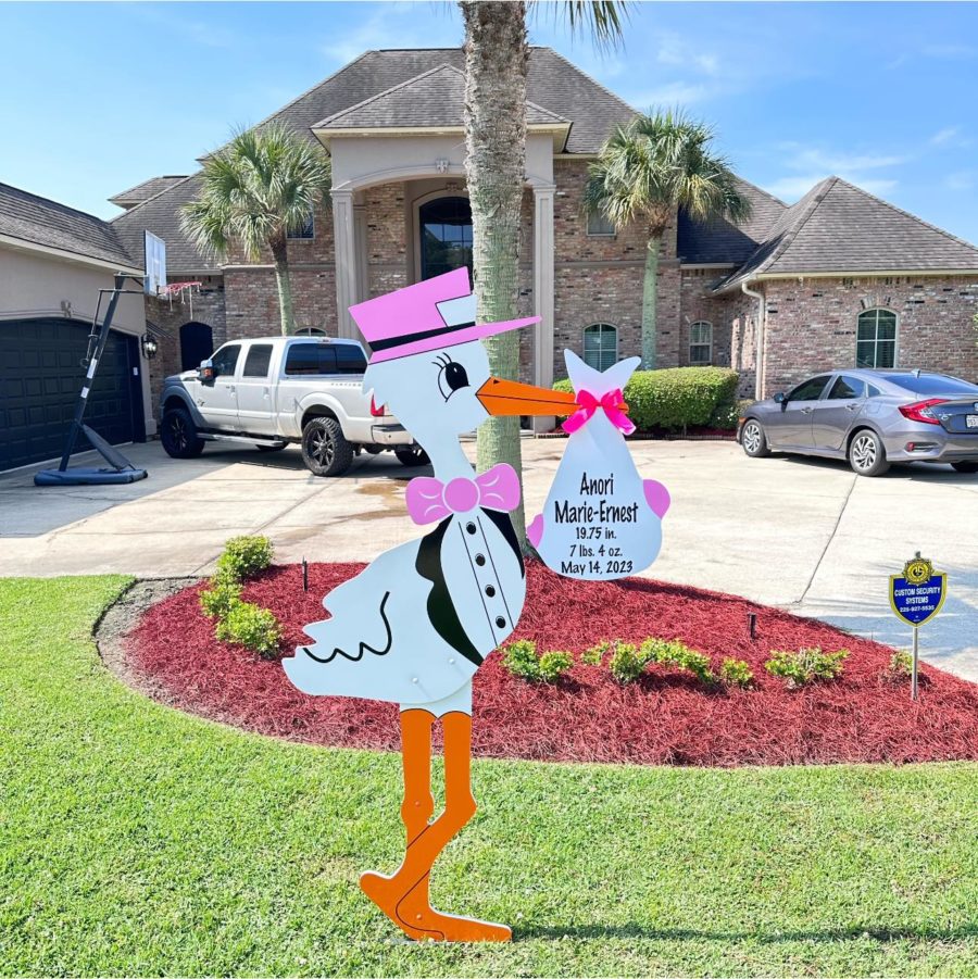 Gallery: Scranton Storks and More: Stork Yard Sign in Scranton, Wilkes ...